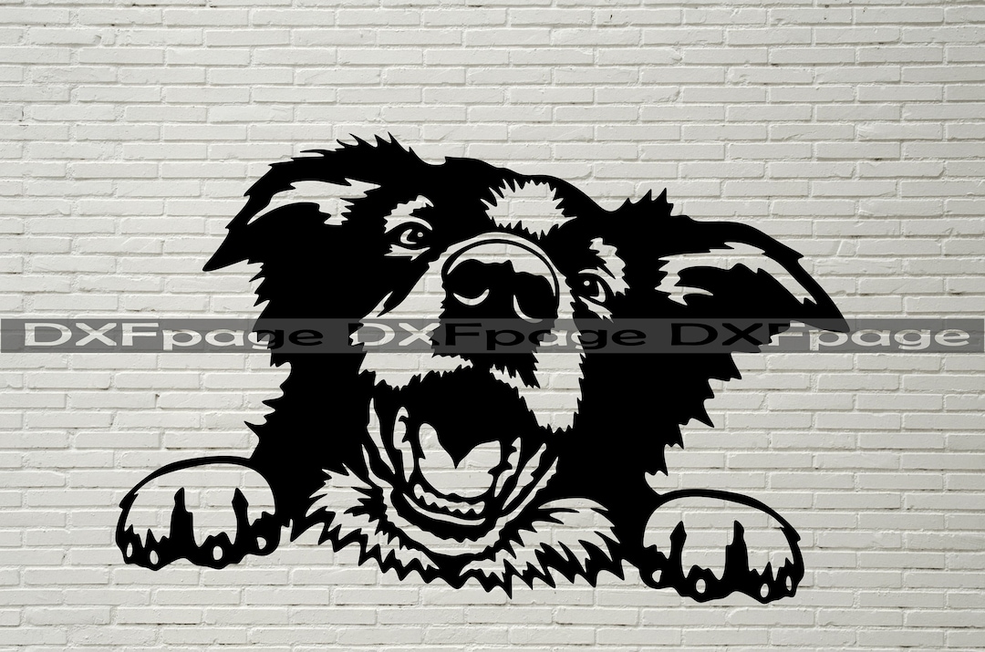 Border Collie Dog SVG, Silhouette Dxf, SVG for Cricut, Dog Clipart Cut ...