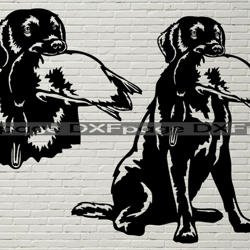 Plasma Projects - Etsy