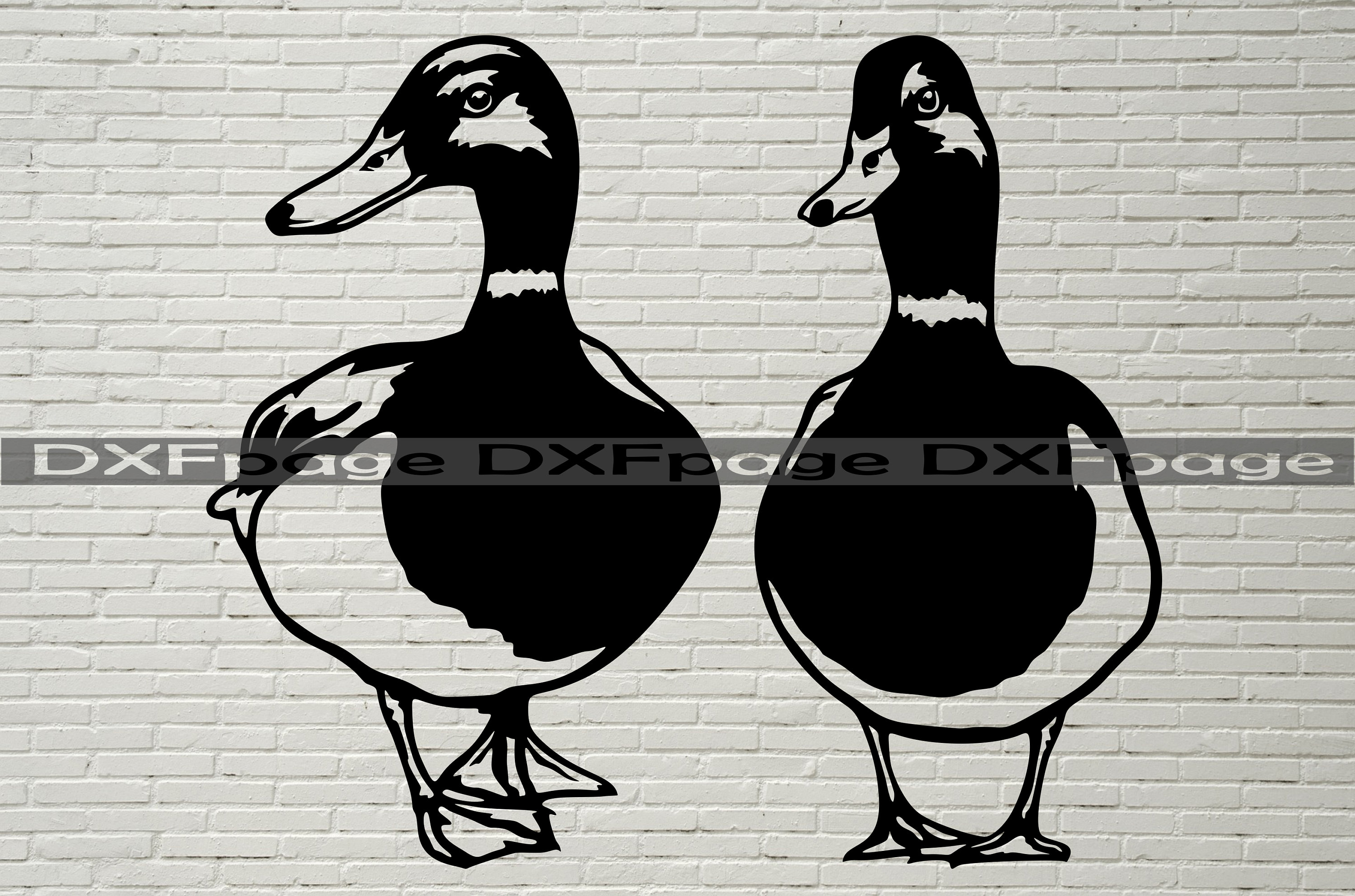 2 Funny Ducks Svg Cut Files Clipart, Silhouette Dxf File, Cricut File ...