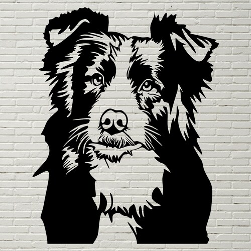 Border Collie Svg Dog SVG Border Collie Art Vector Graphic | Etsy