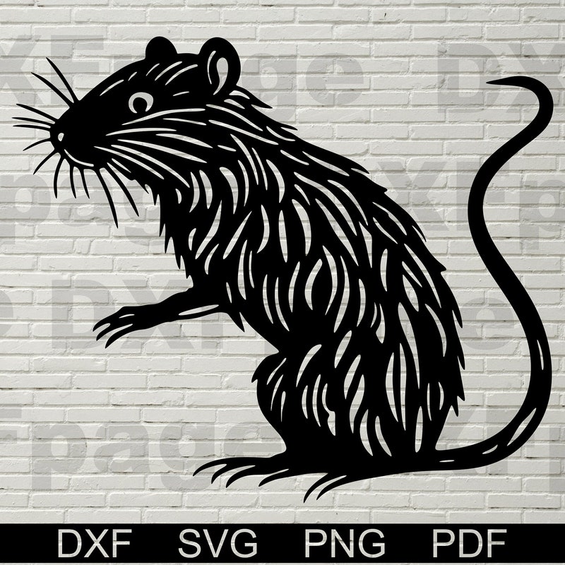 Mouse Rat Svg - Etsy