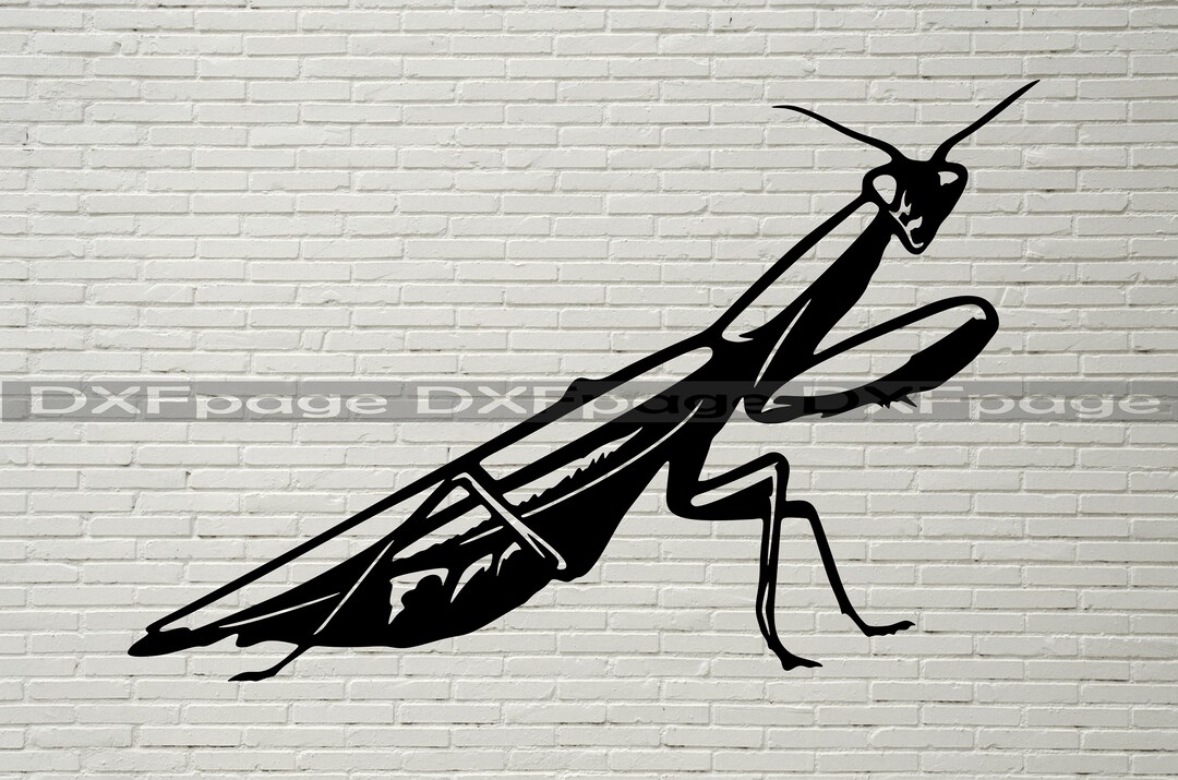 Praying Mantis SVG Cut File, Grasshopper Clipart, Vector Cnc, Svg for ...