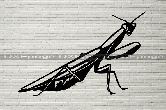 Praying Mantis SVG Cut File Grasshopper Clipart Vector Cnc - Etsy