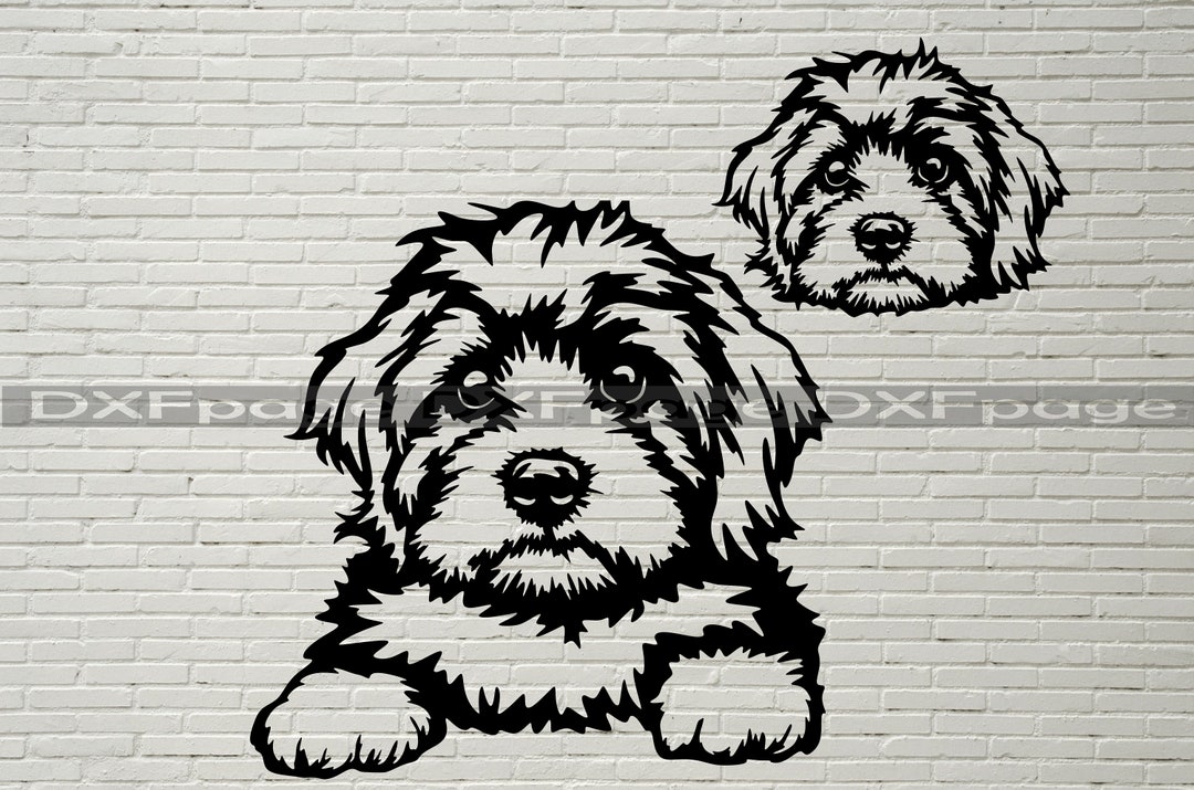 Cavapoo SVG, Silhouette Dxf, SVG for Cricut, Cavapoo Dog Clipart Cut ...