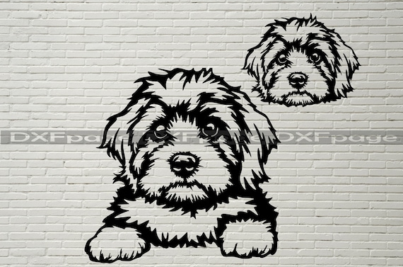 Cavapoo SVG Silhouette Dxf SVG for Cricut Cavapoo Dog - Etsy Australia