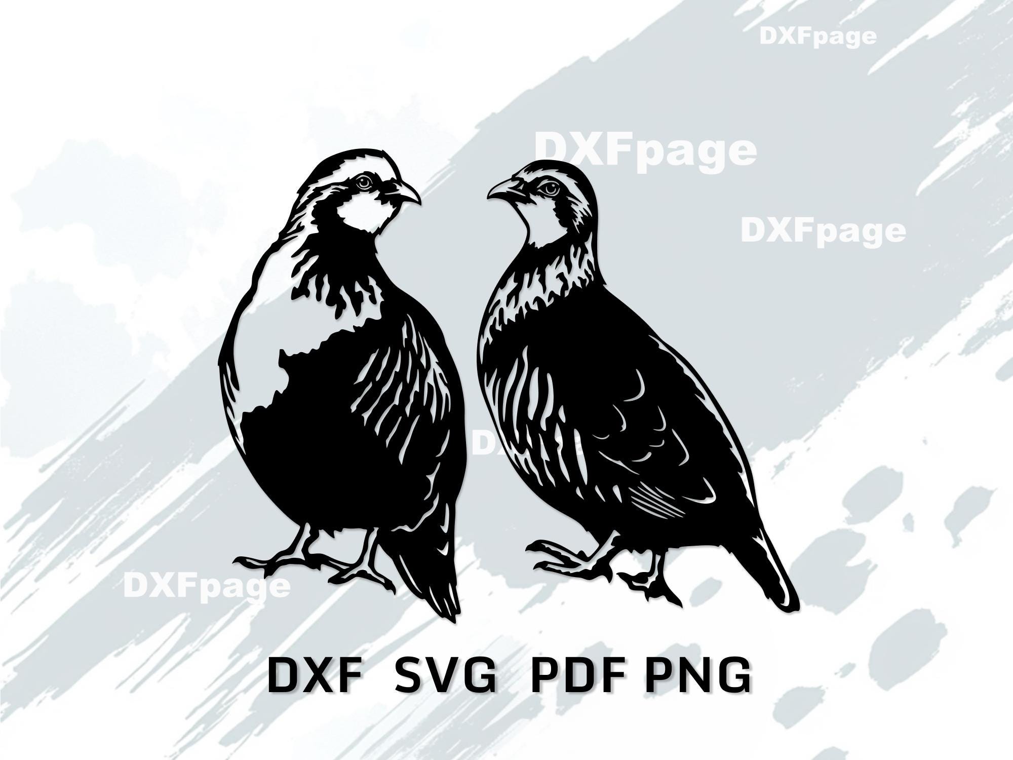 Partridge Engraving and Laser Cut SVG, Plywood Cutting File, Quail ...