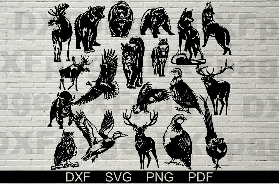 Animal Svg Bundle, DXF Cut File, Svg Cut File for Cricut, Dxf Files for ...