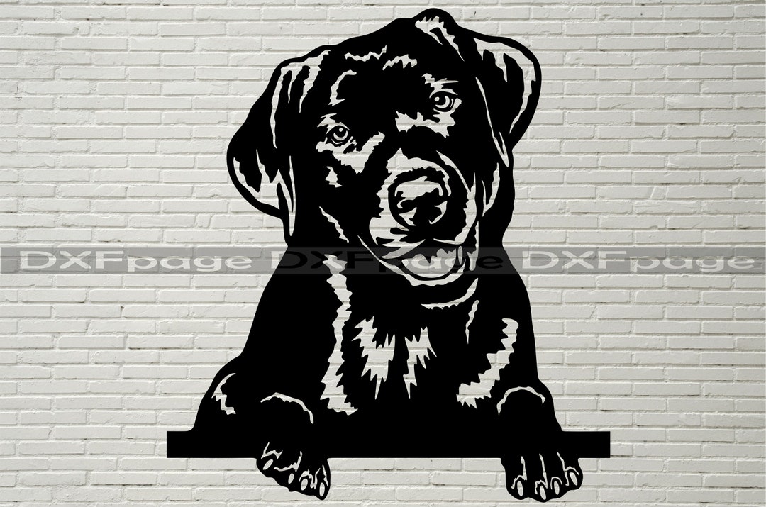 Black Labrador SVG, Silhouettes Dxf, Dog Peeking SVG for Cricut ...