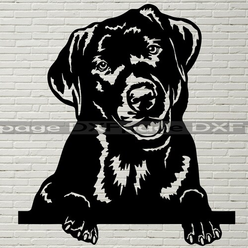 Black Labrador Dog Svg Cricut Labrador Retriever Mom Face - Etsy