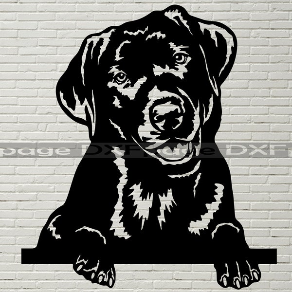 Black Lab Svg - Etsy