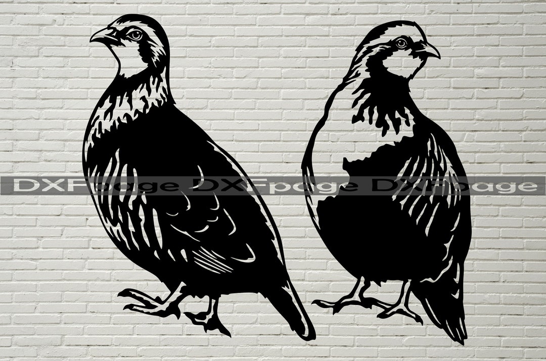 Partridge SVG, Hunting Clipart, Dxf Files for Plasma, Laser Cut, Dxf ...