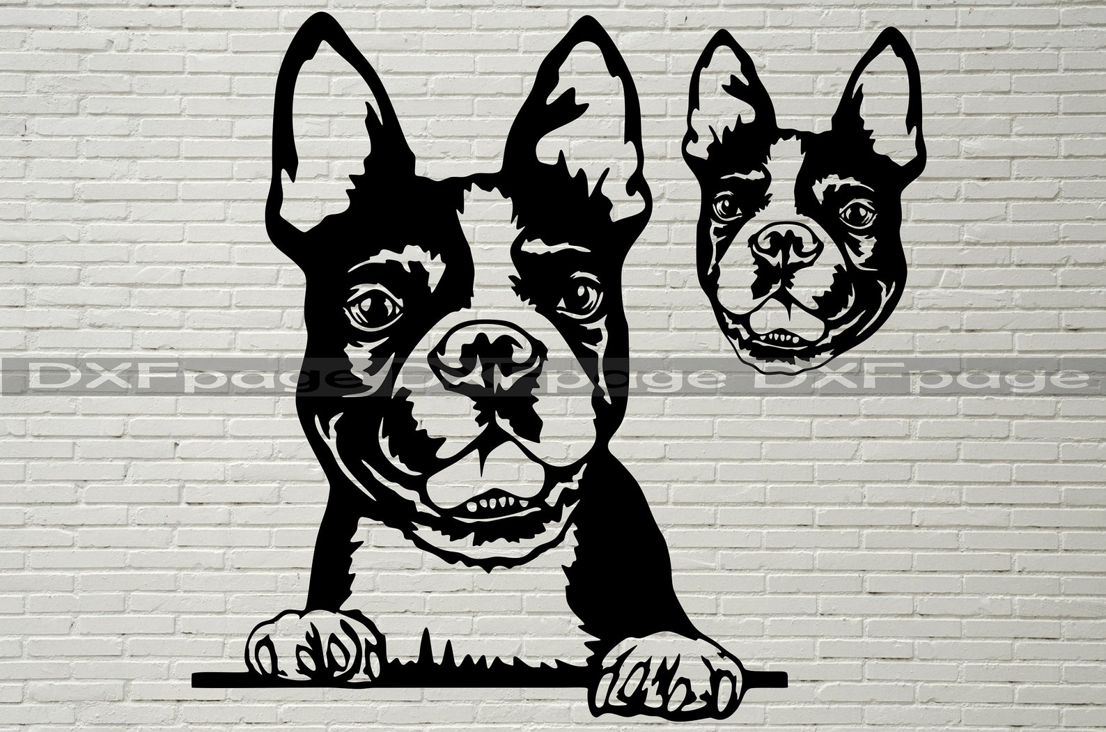 Boston terrier SVG, Silhouettes dxf, SVG para Cricut, archivo de corte ...