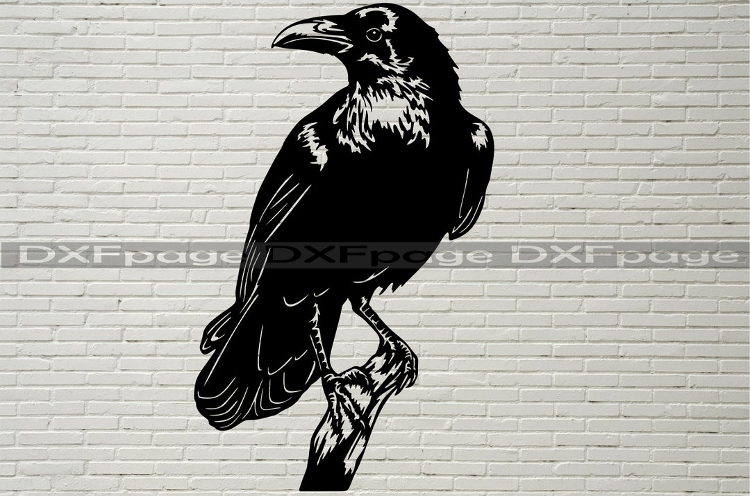 Raven Svg, Raven Silhouette Dxf, SVG for Cricut, Raven Clipart, Laser ...