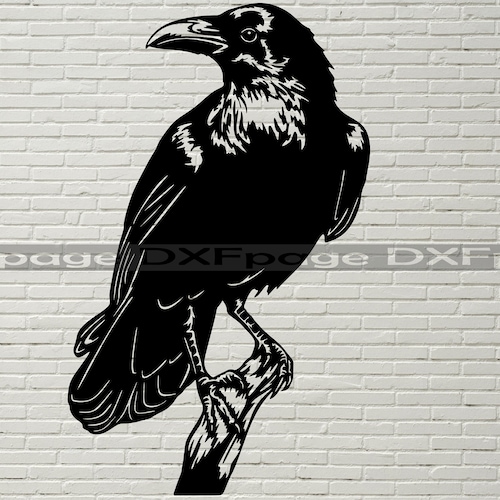 Raven Svg Raven Silhouette Dxf SVG for Cricut Raven - Etsy