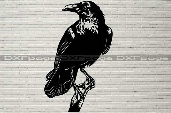 Raven svg Raven Silhouette dxf SVG for Cricut Raven | Etsy