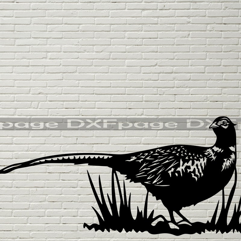 Pheasant - Etsy