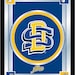 South Dakota State University Logo Wall Mirror SDSU Jackrabbits Decor ...