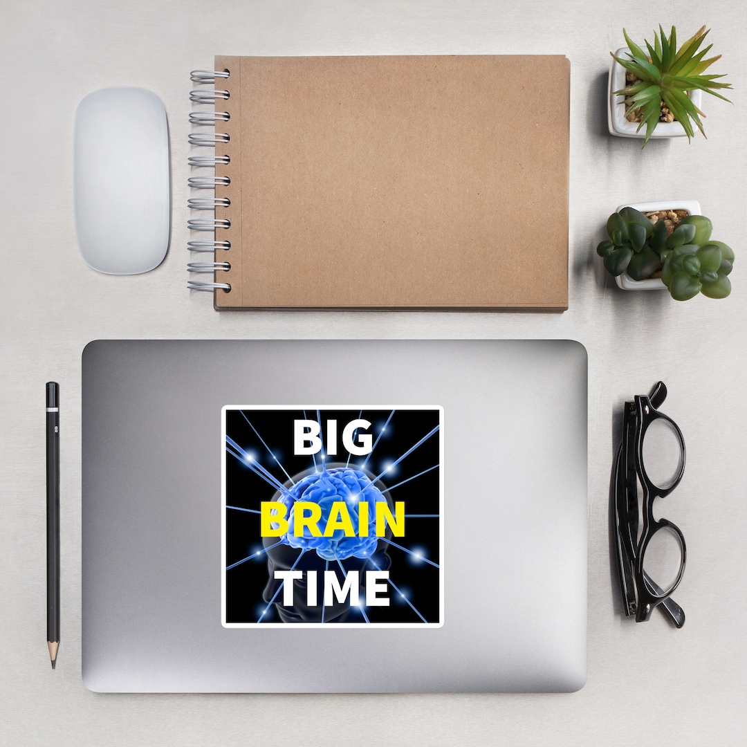 Big Brain Time Meme Sticker Vinyl Decal Durable Joke Smart Intelligence ...