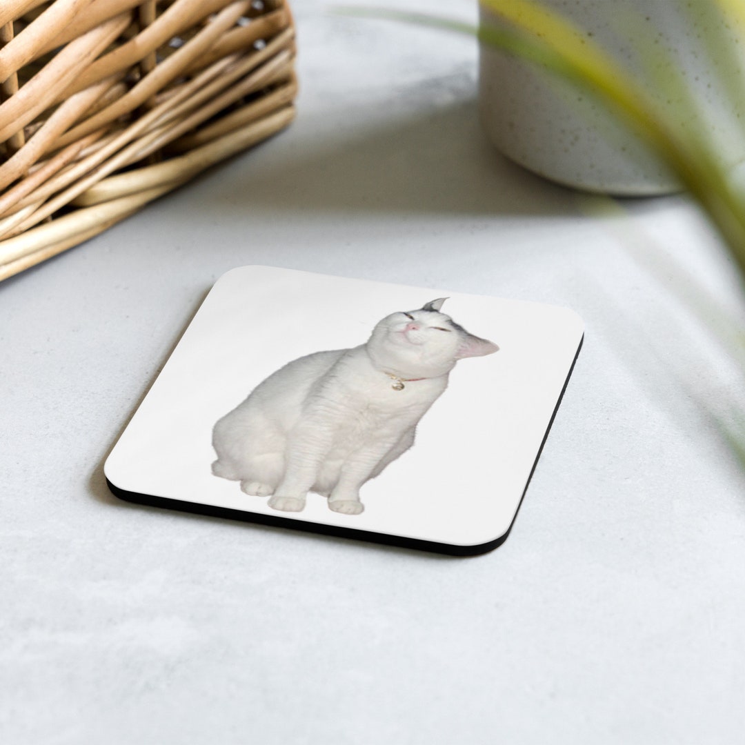 Cork-back Coaster Cat Meme Kitty Happy Drink Protection Furniture High ...