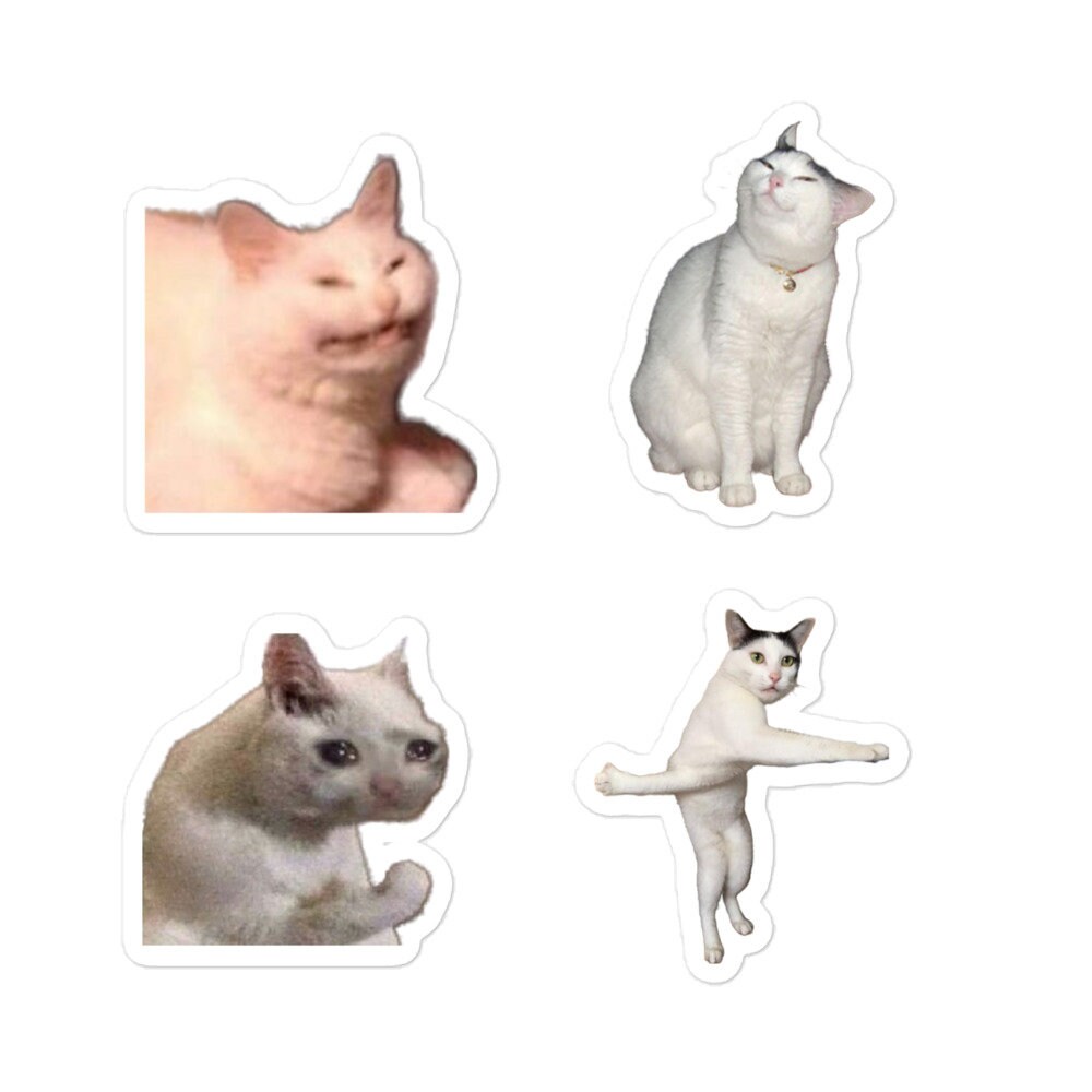 Cat Meme Stickers Cats Decal Vinyl Easy to Use Durable Joke Funny - Etsy