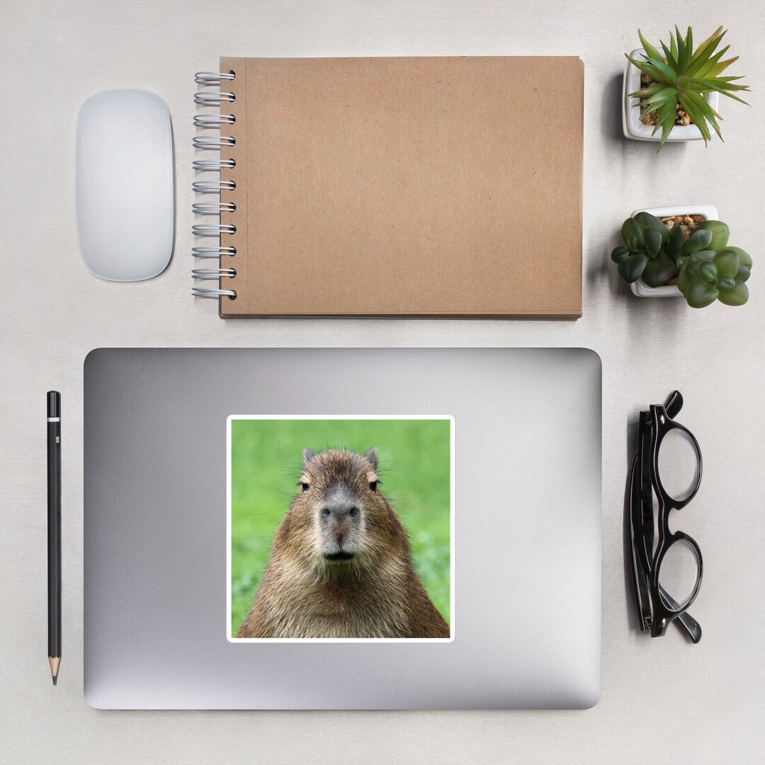 Serious Capybara Sticker Meme Animal Decal Vinyl Cute Durable Easy to ...