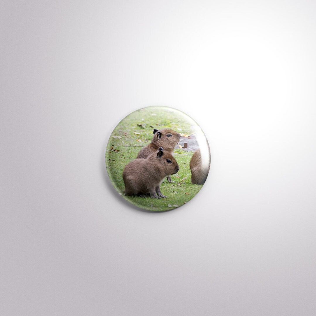 Capybara Cute Cappy Pin Badge Animal Style Button Metal 25mm - Etsy