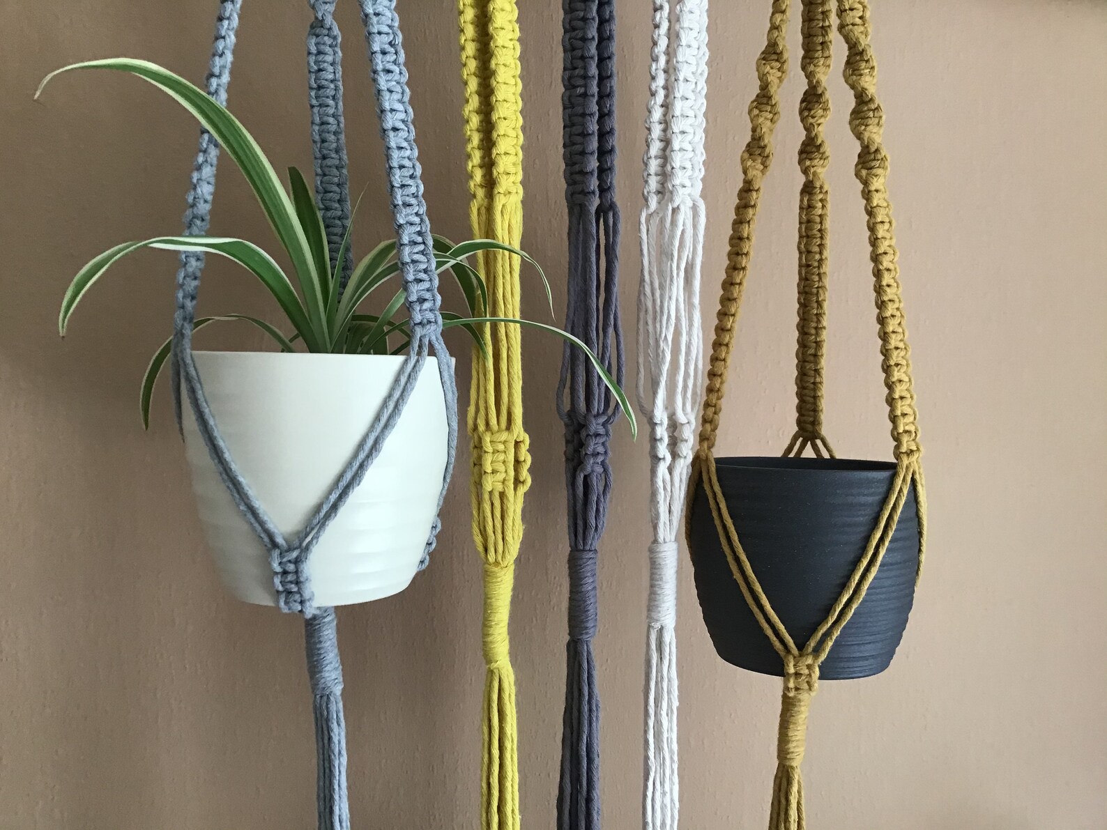 Coloured Macrame Plant Hanger / Macrame Plant Hanger / Rope | Etsy