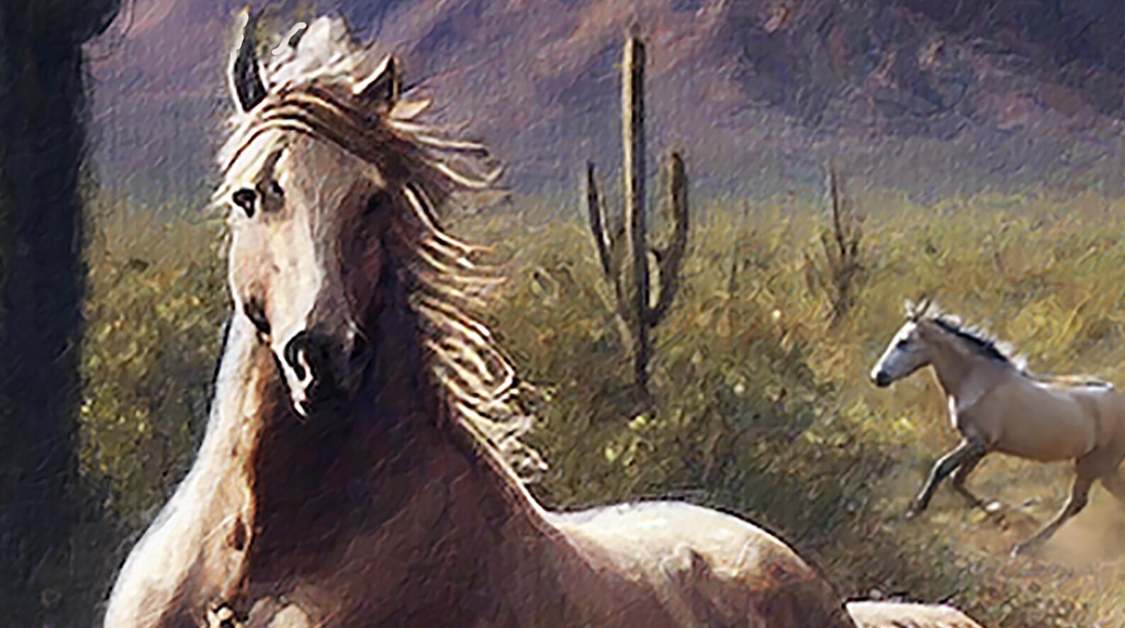 Sonoran Desert Wild Horses Fine Art Print: Southwest Landscape (digital ...