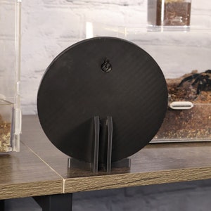 TARANTULA CROSSING 3d Printed Shelf Wall Decor Sign - Etsy