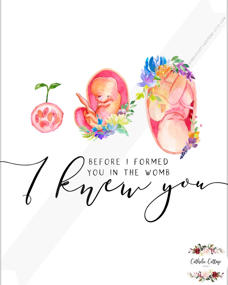 Pro Life Printable - "before I Formed You in the Womb, I Knew You ...