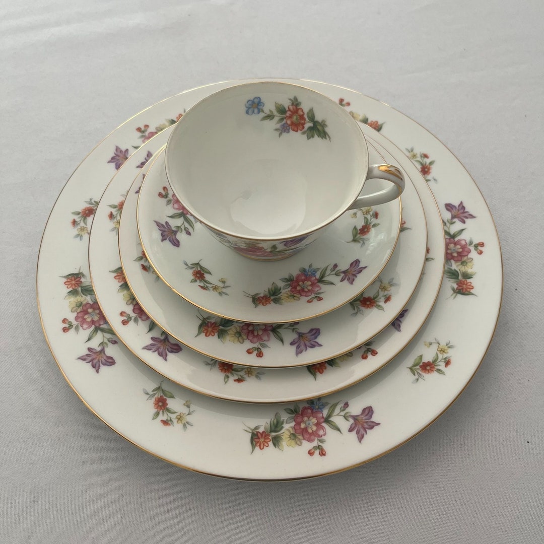 Aladdin Fine China DRESDENIA 5-piece Place Setting - Multi-color Floral ...
