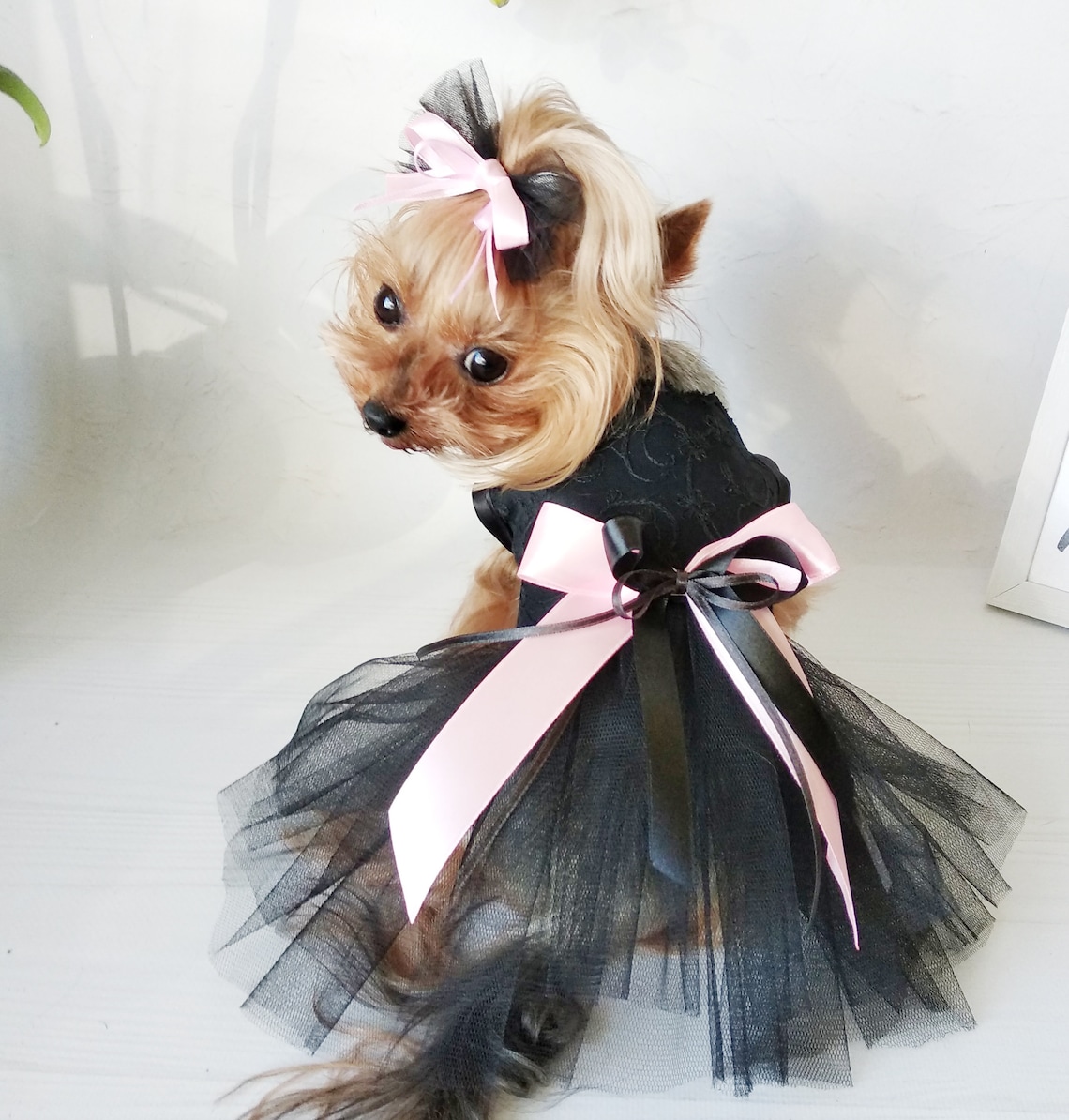 Vestido de perro elegante vestido de novia del perro vestido | Etsy