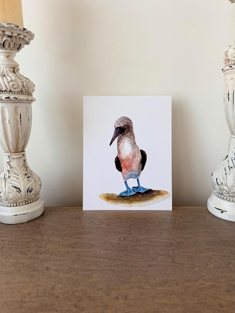 Blue-footed Booby Print | Colorful Bird Watercolor Artwork - Etsy