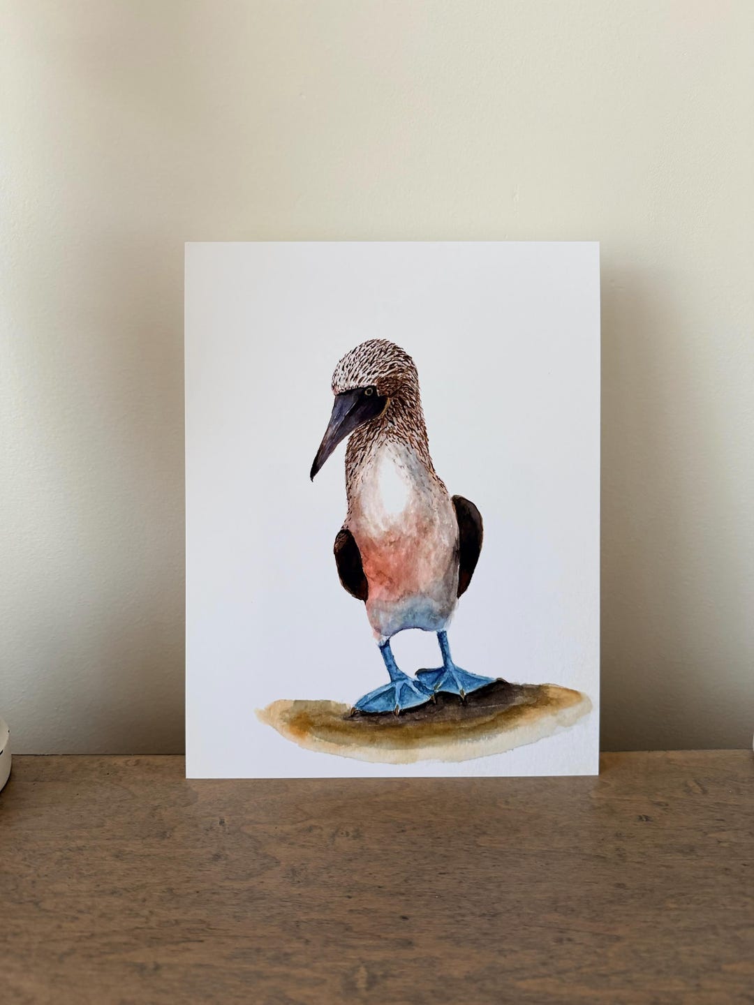 Blue-footed Booby Print | Colorful Bird Watercolor Artwork - Etsy