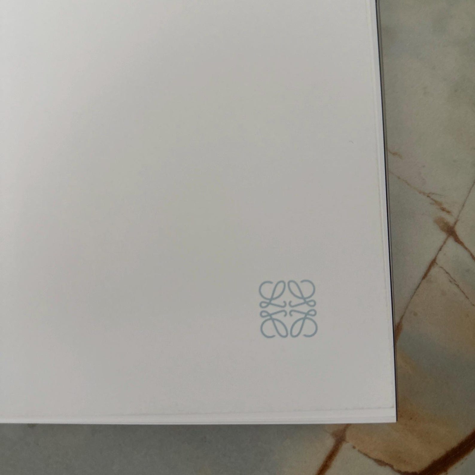 RARE LOEWE David Sims Photo Book Transcending Nature Limited Ed Like ...
