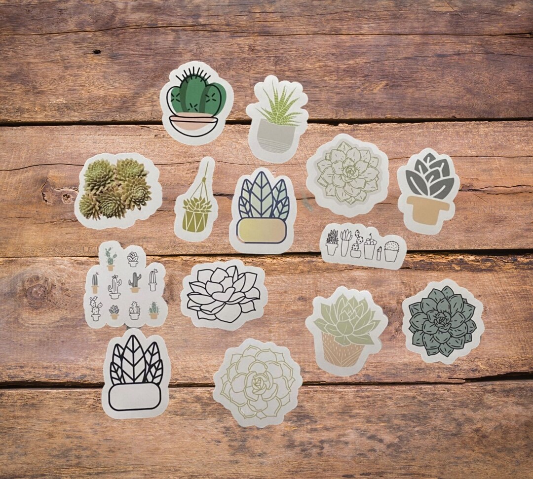 Succulent Stickers, Succulent Decals, Cactus Stickers, Cactus Decals ...
