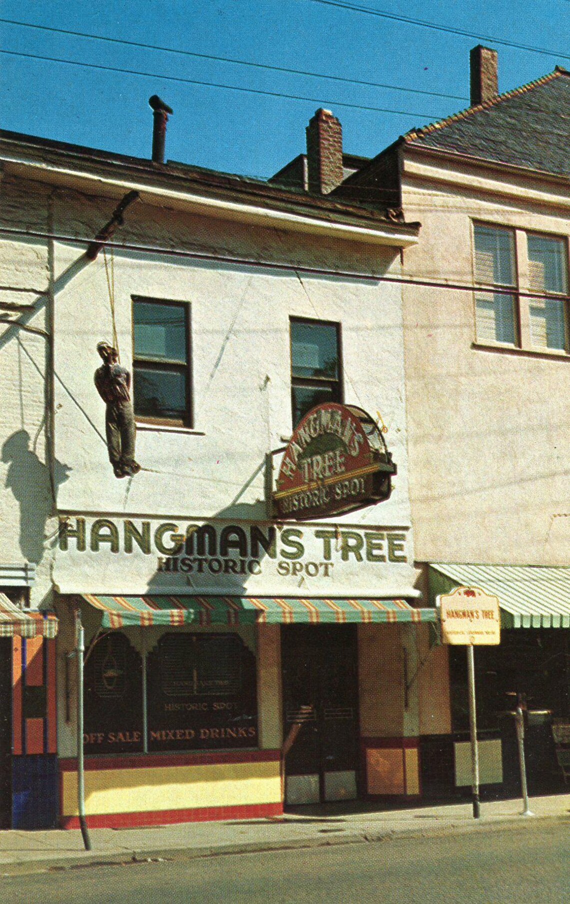 Postcard Early View of Historic Hangman's Tree, Placerville, CA. Y3 - Etsy