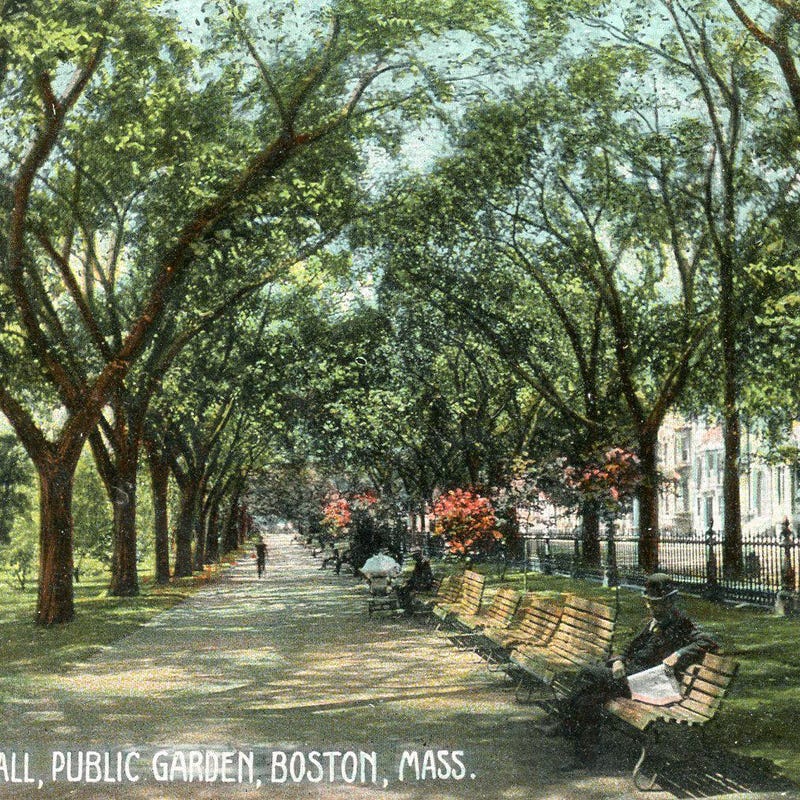 Beacon Street - Etsy