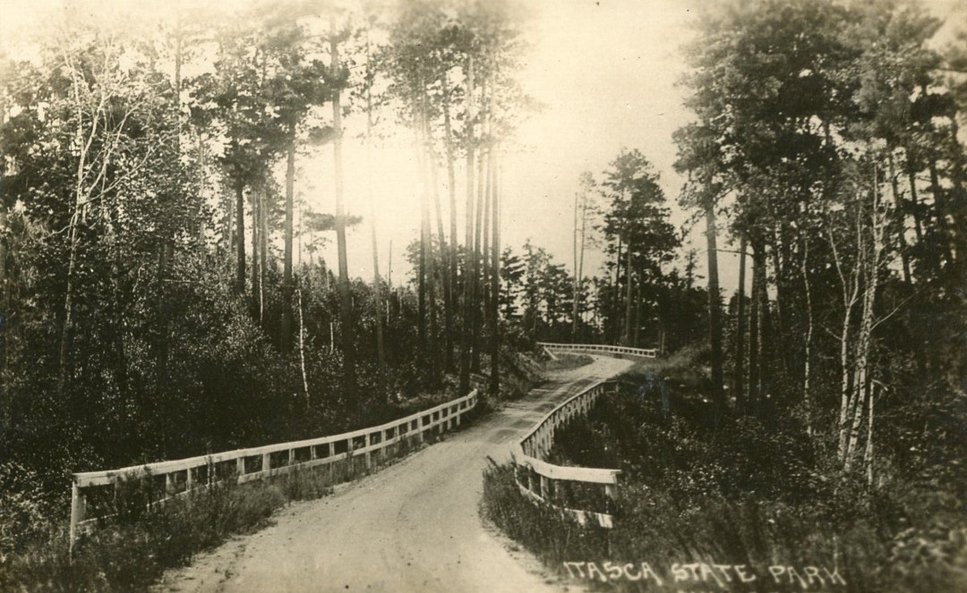 Postcard RPPC View of Itasca State Park , MN. Aa6 - Etsy