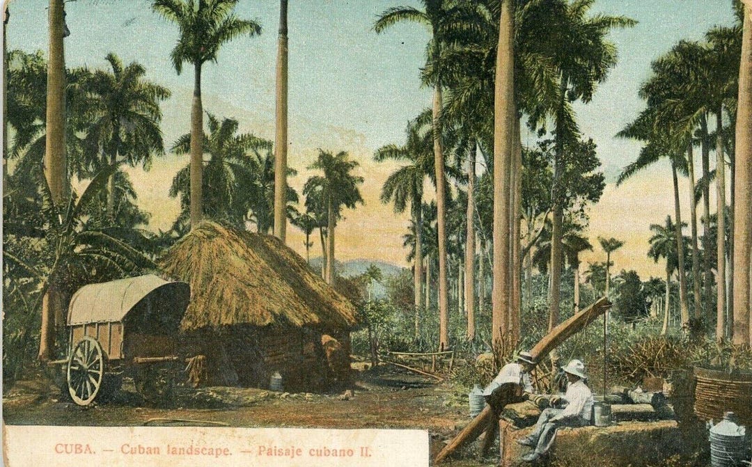 Postcard Early Landscape Scene in Cuba. S6 - Etsy