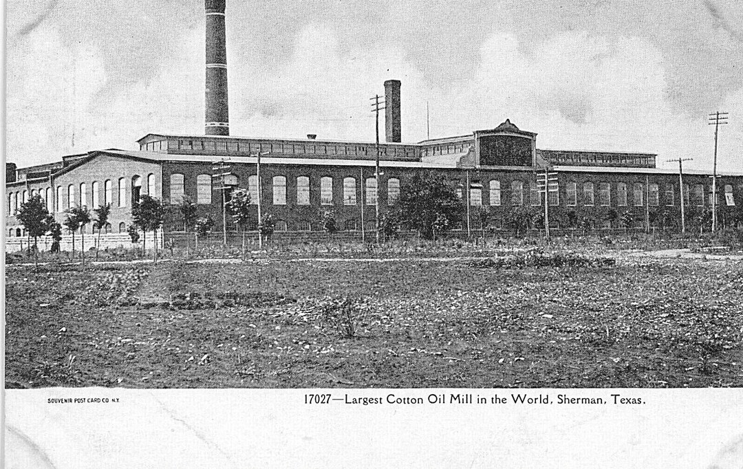 Postcard Antique View of Largest Cotton Oil Mill in World, Sherman, TX ...