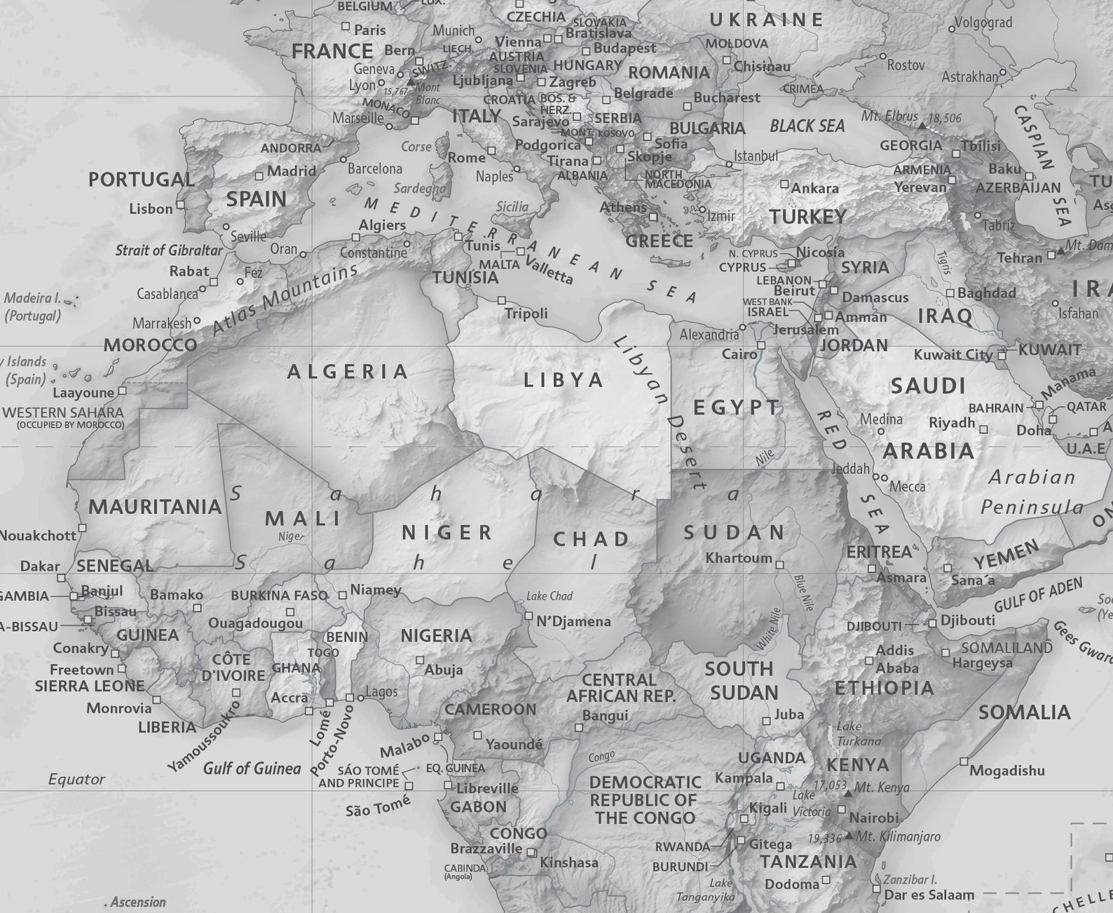 Grayscale World Political Wall Map Large World Wall Map | Etsy