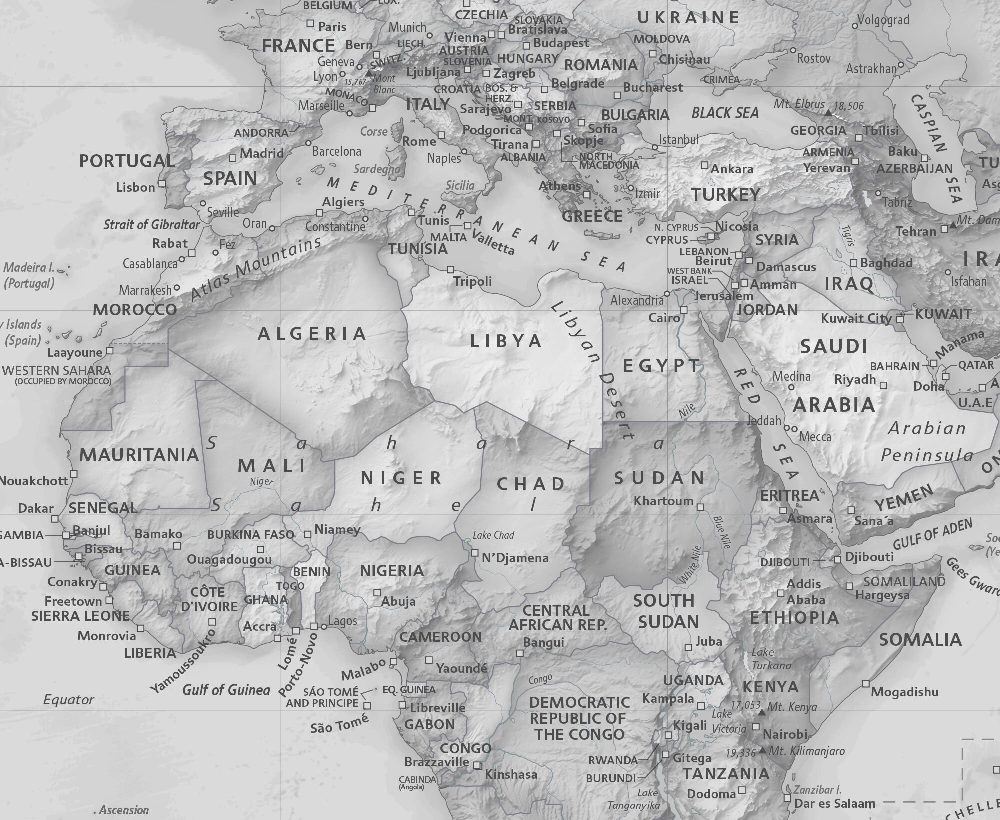 Grayscale World Political Wall Map Large World Wall Map | Etsy