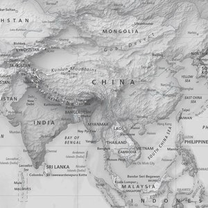 Grayscale World Political Wall Map - | Large World Wall Map Poster ...