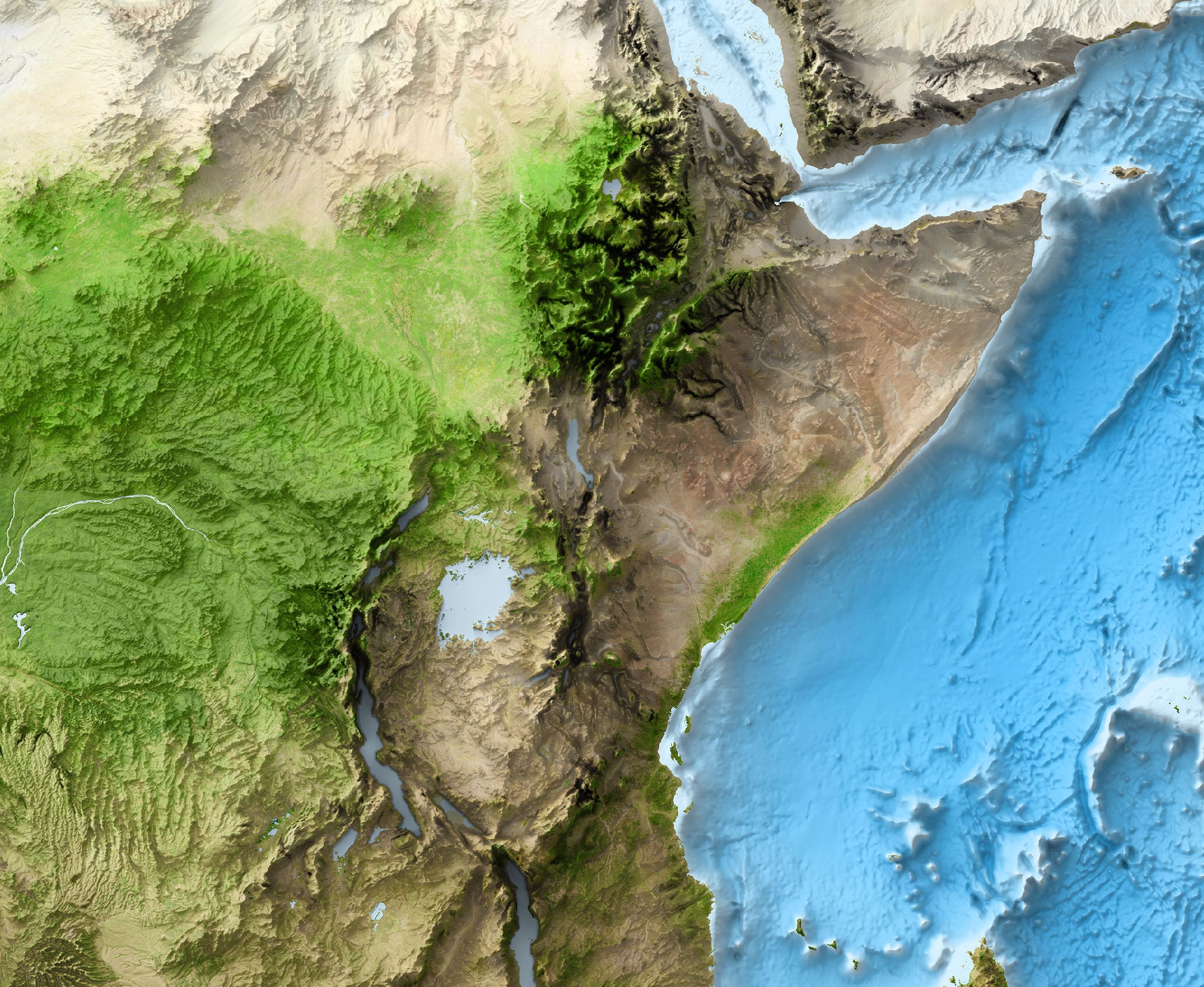 Exaggerated Relief Satellite Image World Wall Map World - Etsy