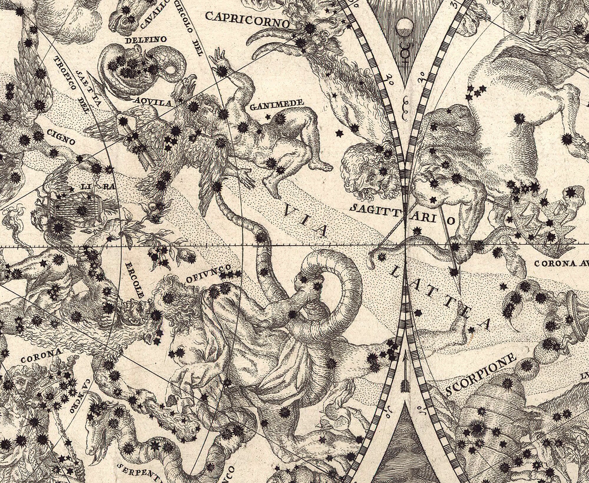 Antique 1687 Celestial Map planisfero Del Globo - Etsy Ireland