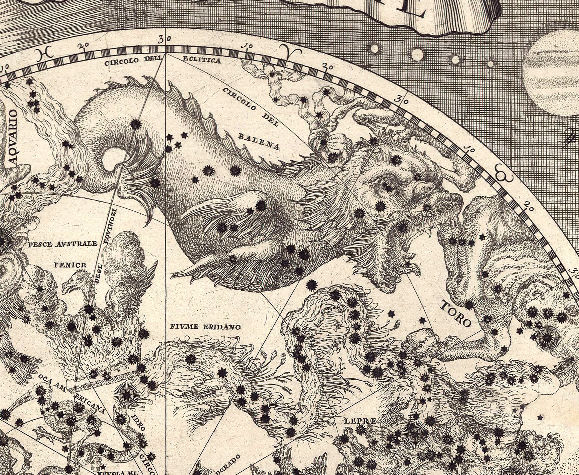 Antique 1687 Celestial Map planisfero Del Globo - Etsy Ireland