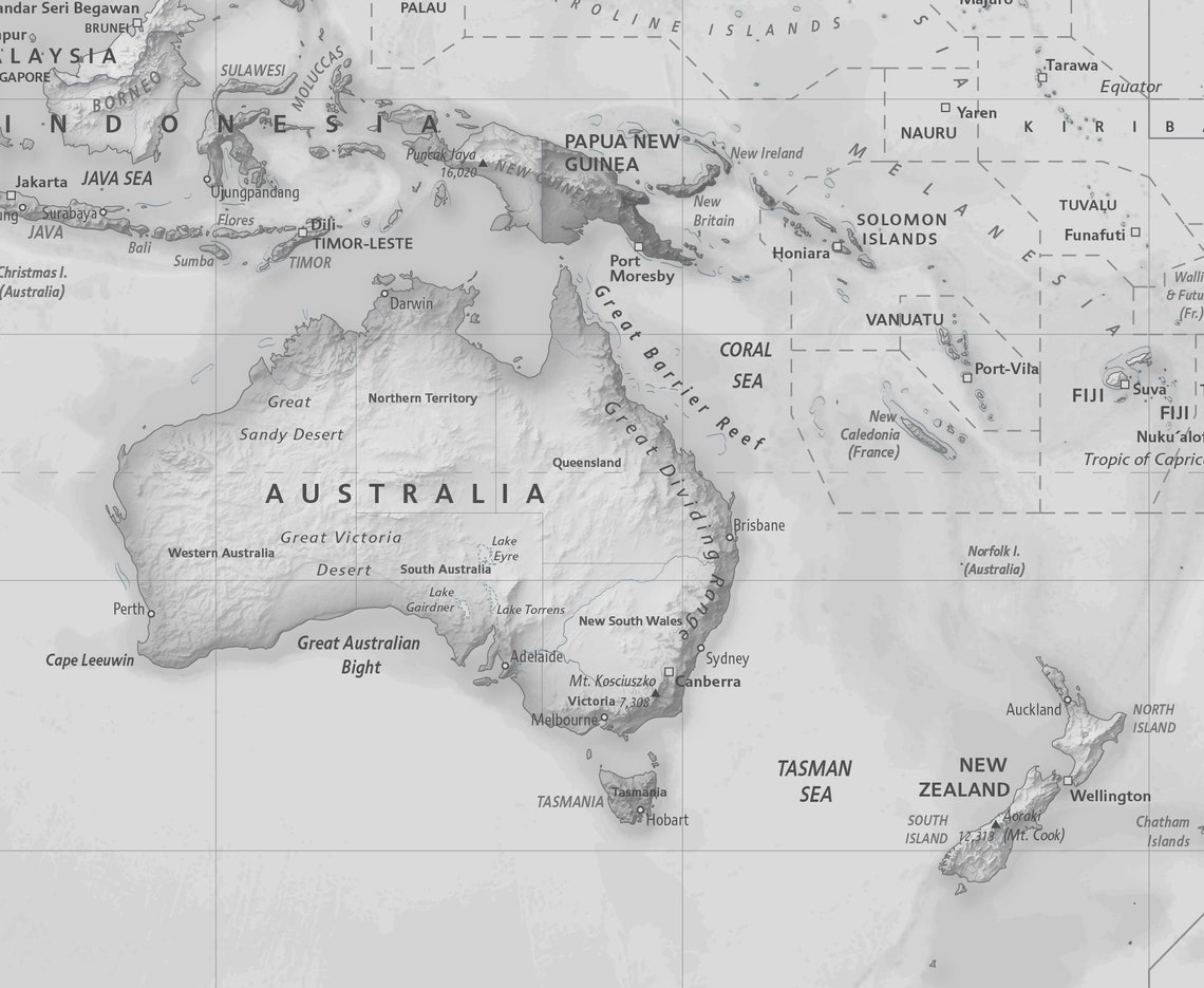 Grayscale World Political Wall Map Large World Wall Map | Etsy