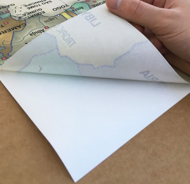 World Map Decal World Map Mural Detailed Gray Oceans - Etsy