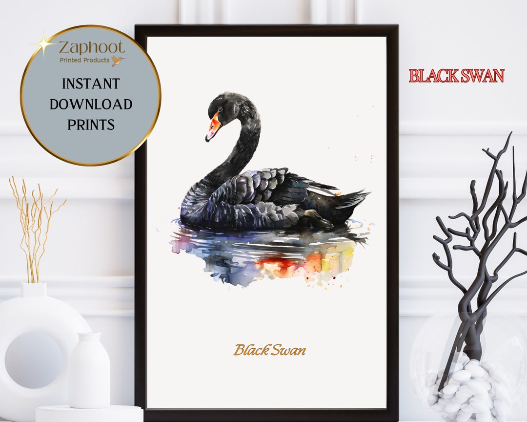 Black Swan Watercolour Printable Wall Art, Part of Australian Native ...